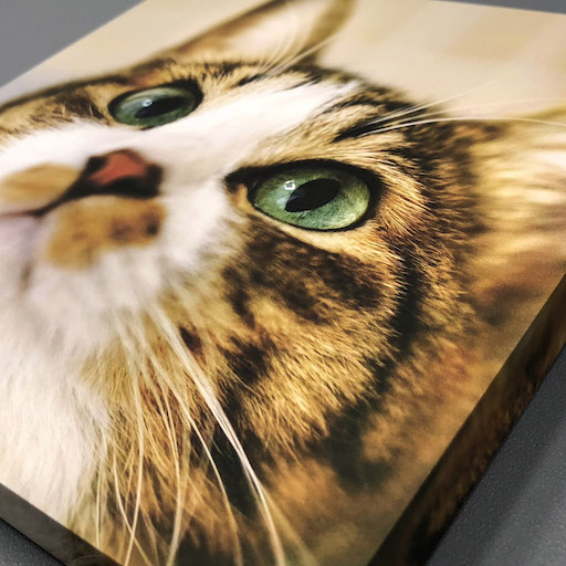 Printage APP: Prints and Photo book | Photo Prints | Online Photo ...